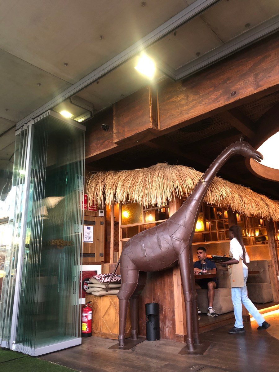 Wooden Giraffe safety – Fire Extinguishers 📛